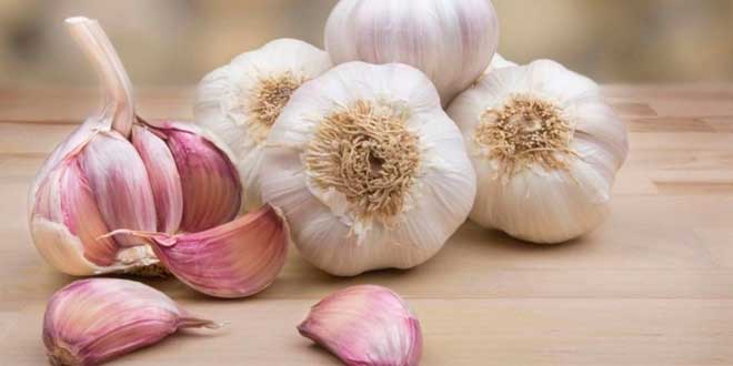 Garlic - Healing Properties and Benefits for Health HSN Blog