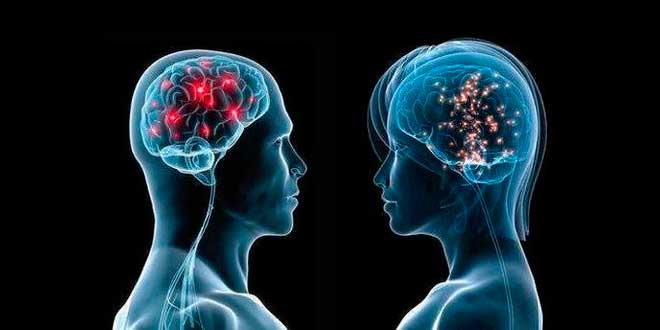 What is Guarana and What are its Properties and Benefits?