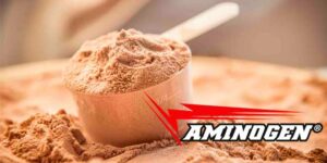 Aminogen, a patented enzyme - HSN Blog