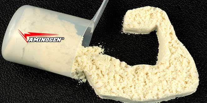 Aminogen, a patented enzyme - HSN Blog