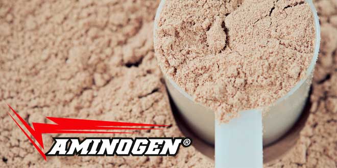 Aminogen, a patented enzyme - HSN Blog