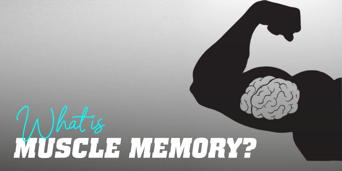 Muscle Memory – The Response of Science!【HSN Blog】