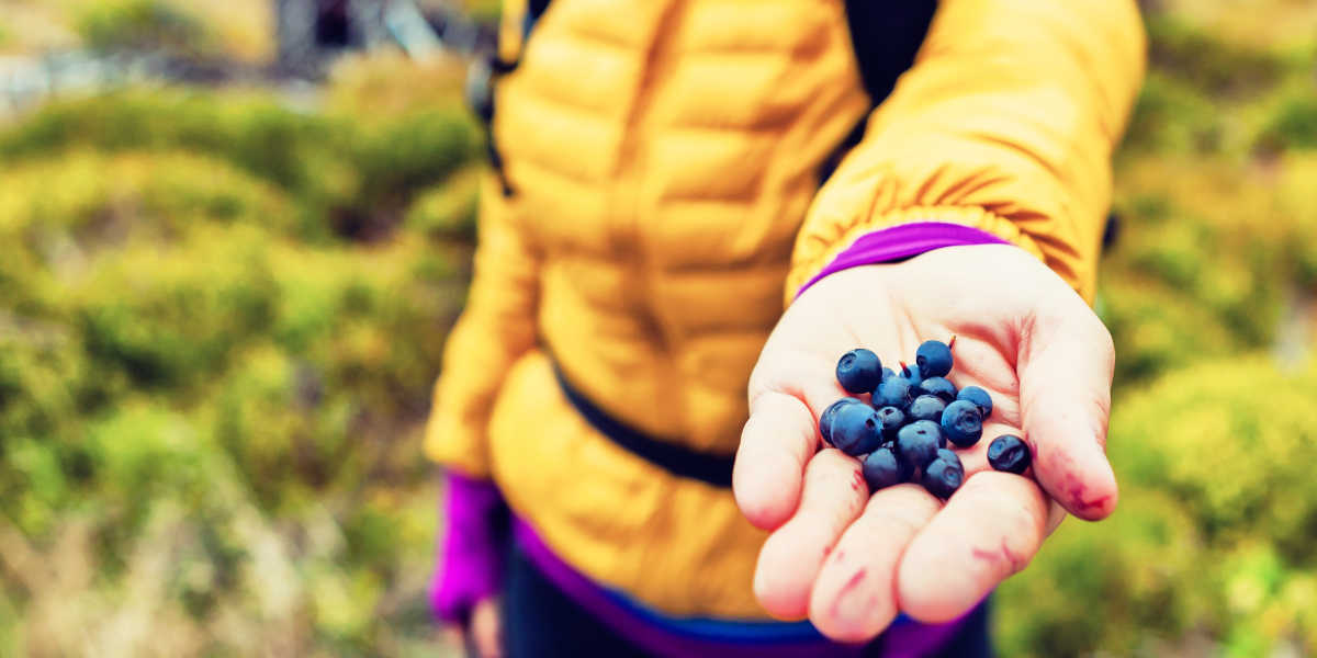 The 10 Foods to Achieve Sports Success【HSN Blog】