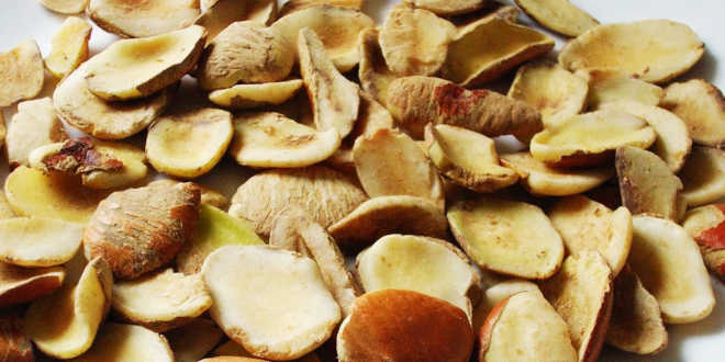 African Mango - All you need to know at the HSN Blog