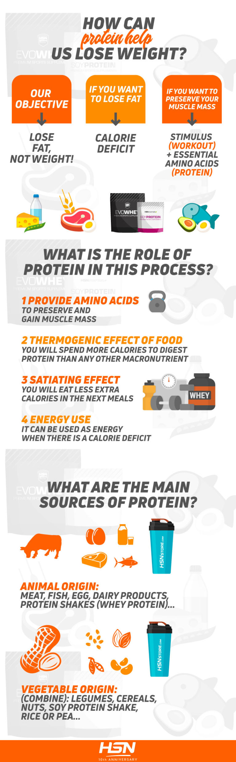 Protein to lose weight - All the info at HSN【2025