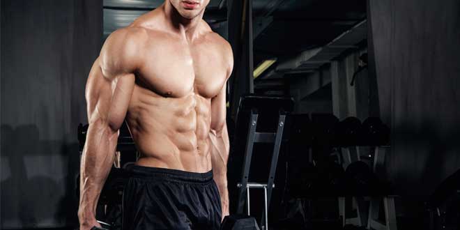 Training Principles – Find out how to progress!【2025