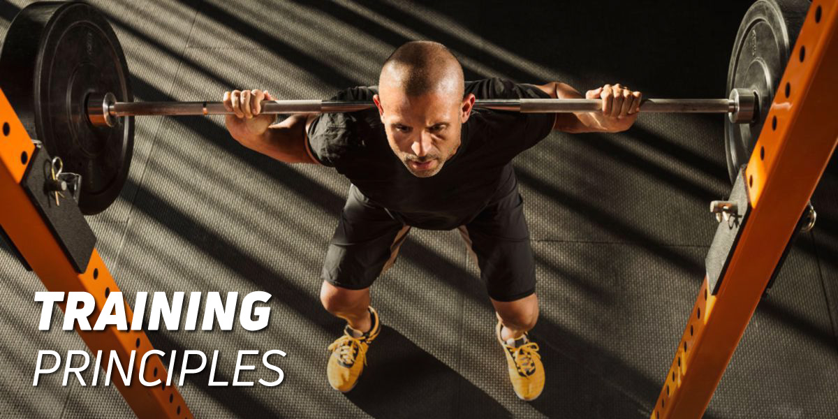 Training Principles