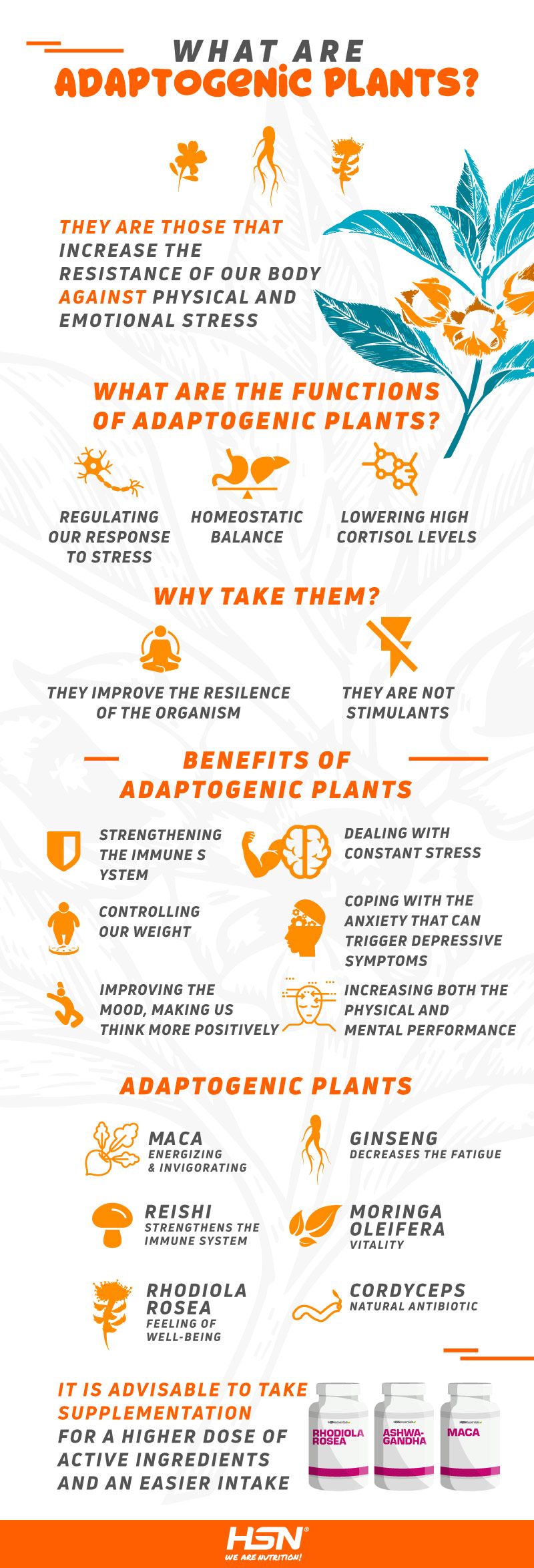 Adaptogens - Plants with Anti-Stress Properties! 【HSN Blog】