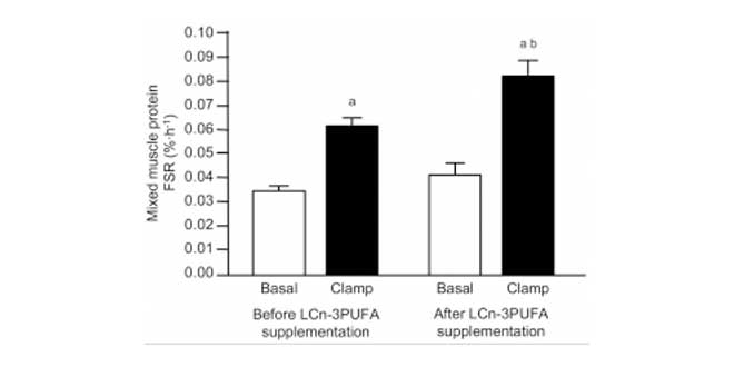 Omega 3 Anabolic Potential: Improve Protein Synthesis at HSN