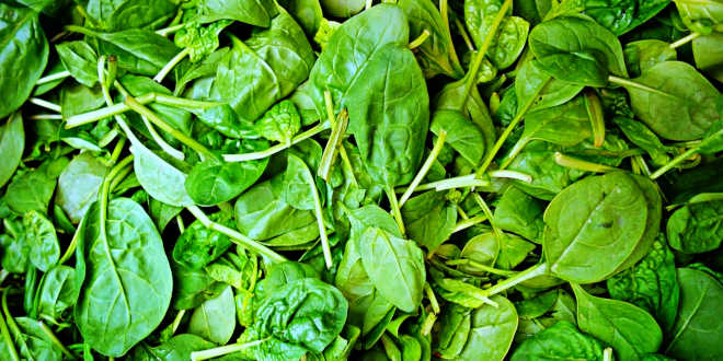 Iron - All you need to know about this mineral in HSN Blog