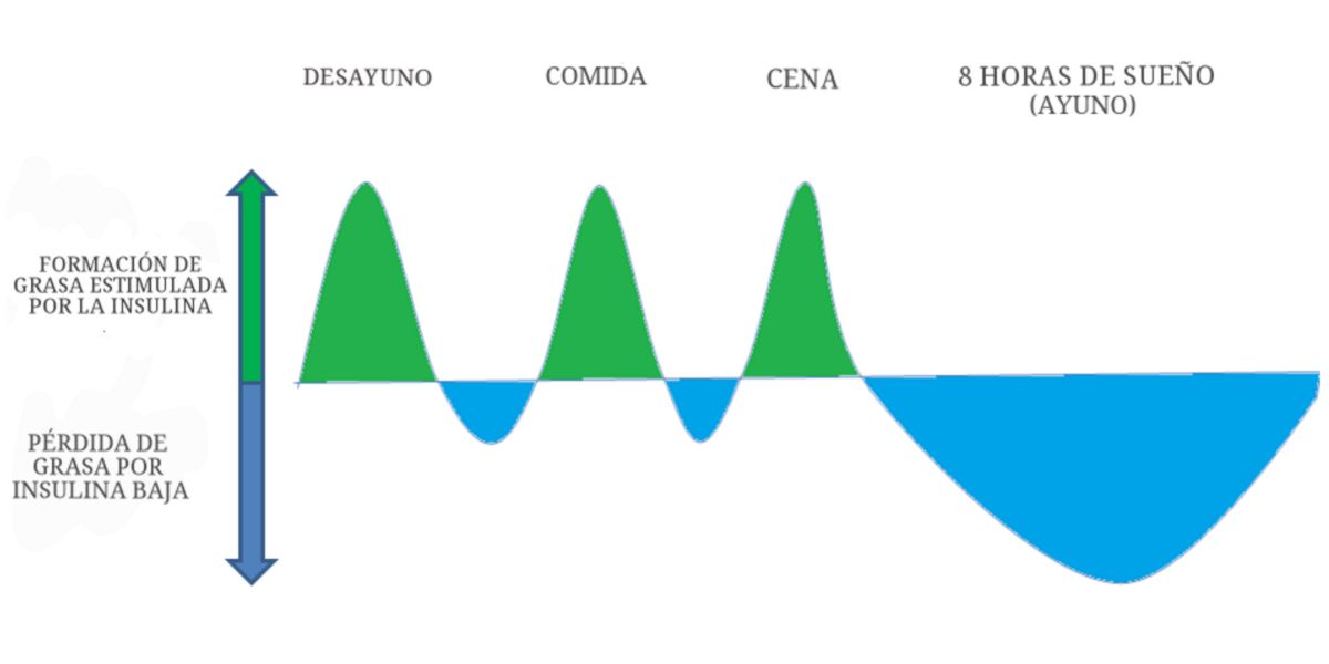 How to Lose Fat Eating Carbohydrates【HSN Blog】