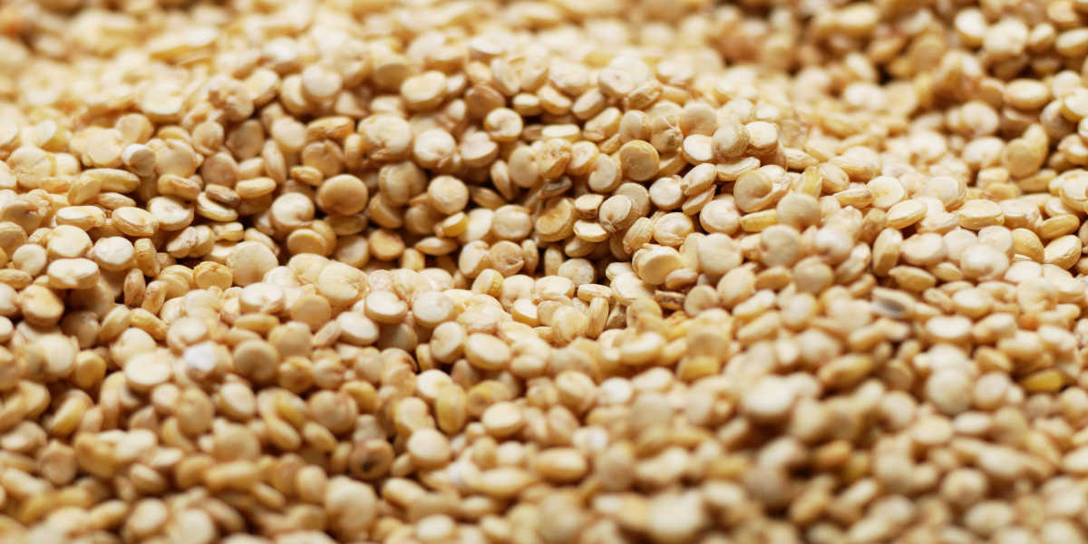 Protein Sources Their Pros and Cons【2024 】HSN