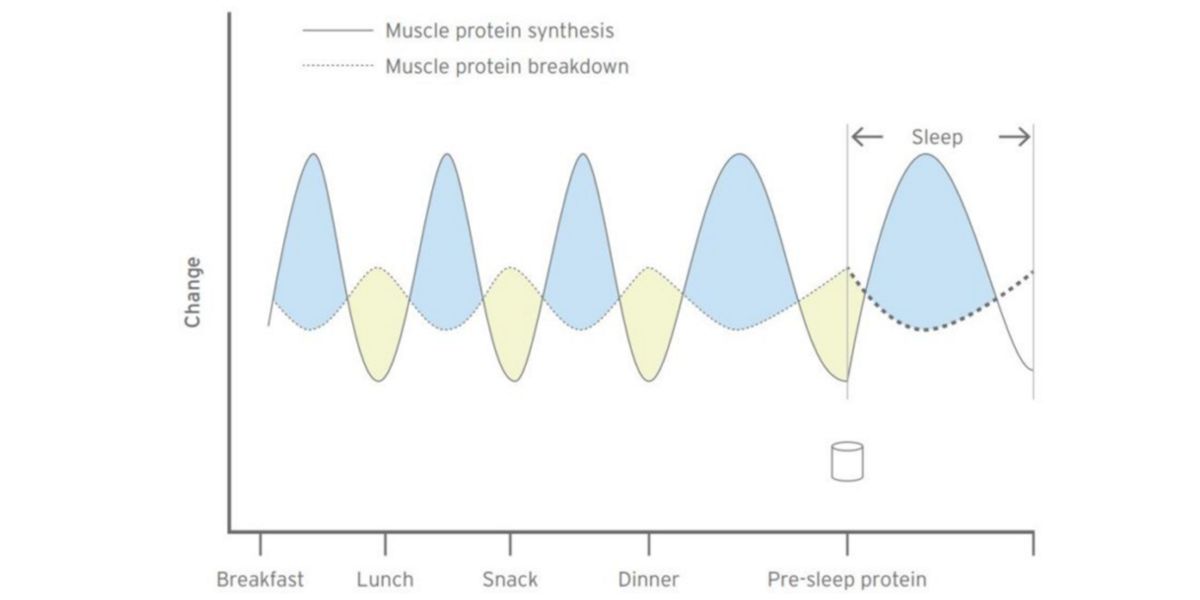 What to Eat for Muscle Mass Gaining【HSN Blog】