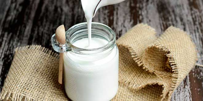 Kefir: What is it, what are its benefits and recipes 【2026