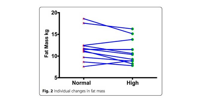 What are the effects of a High-Protein Diet?【HSN Blog】