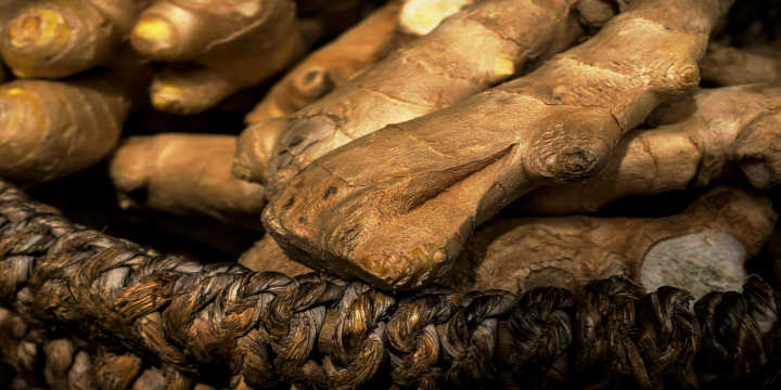 Ginger - All you need to know here at the HSN Blog