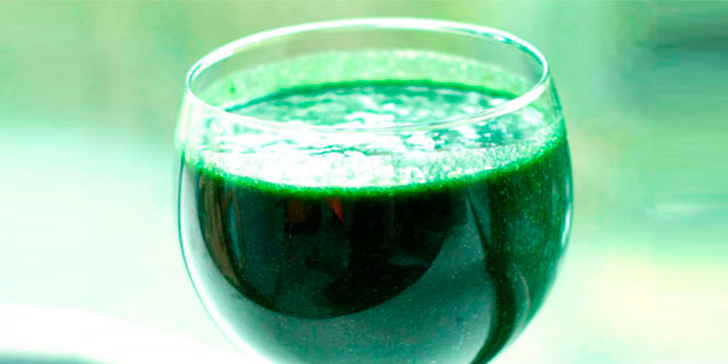 Find out all the Benefits of Spirulina at the HSN Blog