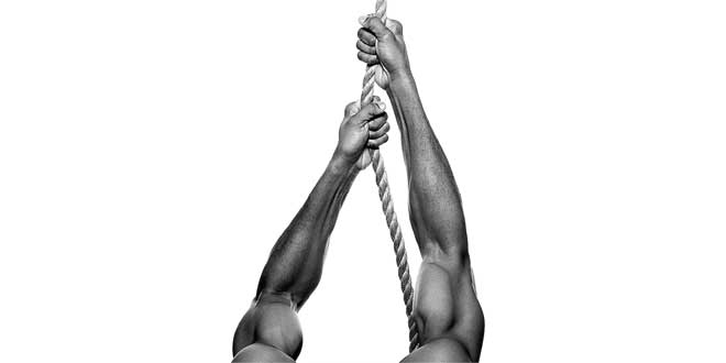 Forearms Exercises - Improve your grip strength! 【2026