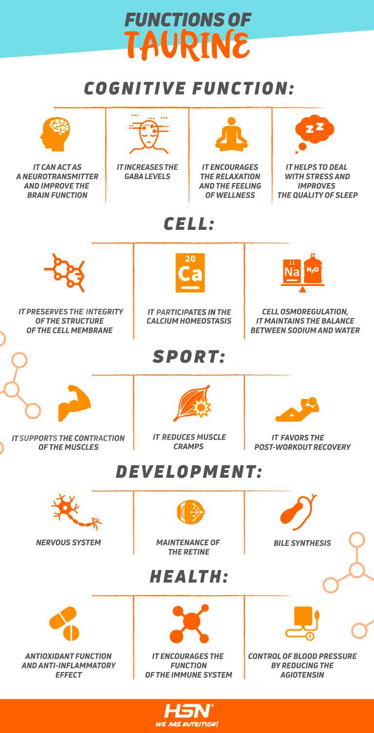 Taurine: What it is, Properties and Possible Contraindications