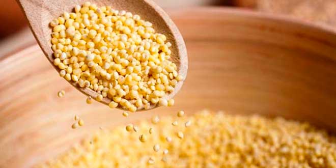 Foods that are Rich in Carbohydrates - HSN Nutrition Blog