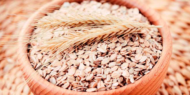 Foods that are Rich in Carbohydrates - HSN Nutrition Blog