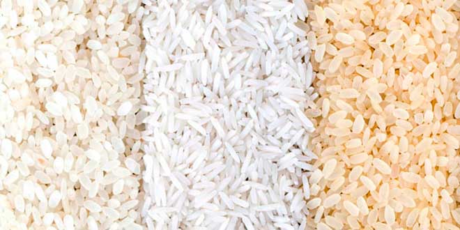 Foods that are Rich in Carbohydrates - HSN Nutrition Blog