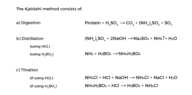 What is the Nitrogen Balance? Synthesis vs. Breakdown - HSN