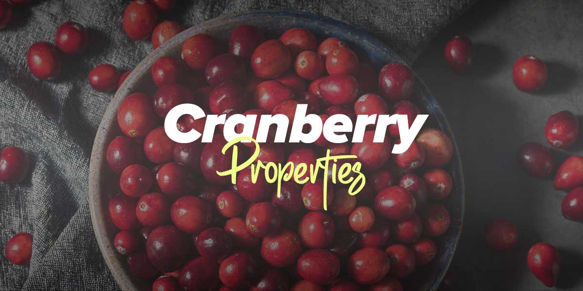 Cranberry Get to know all its benefits - HSN Blog