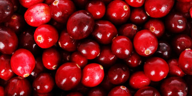 Cranberry Get to know all its benefits - HSN Blog