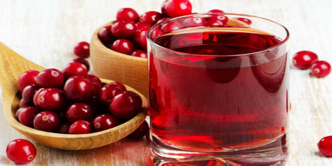 Cranberry Get to know all its benefits - HSN Blog