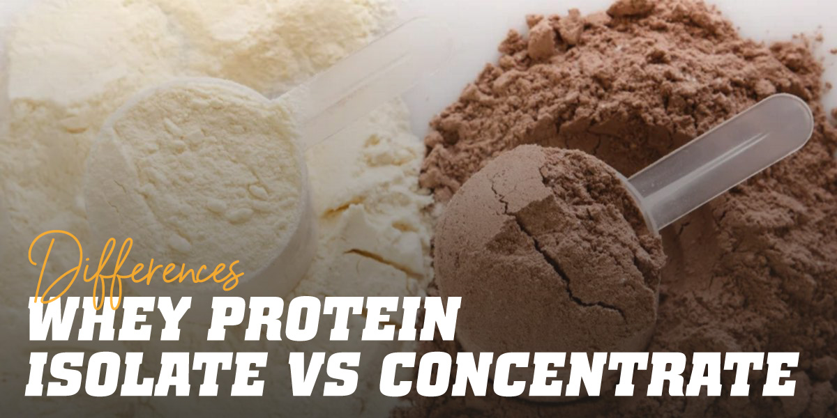What’s the Difference Between Whey Protein Isolate and Concentrate?