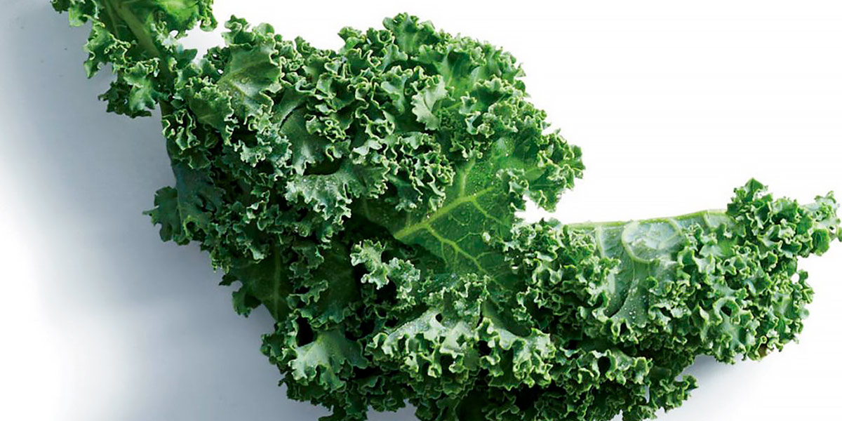 All about Kale: What it is, Properties and Recipes【HSN Blog】