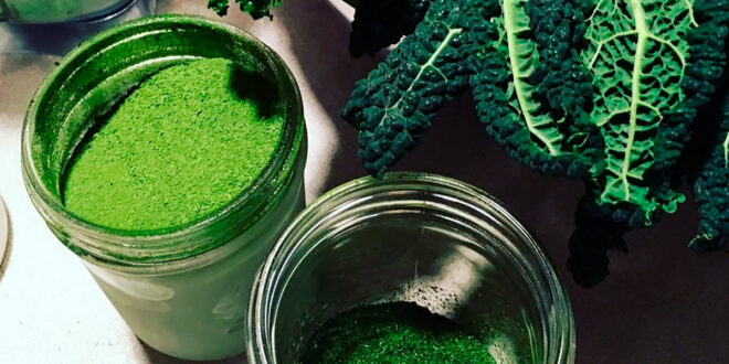 All about Kale: What it is, Properties and Recipes【HSN Blog】