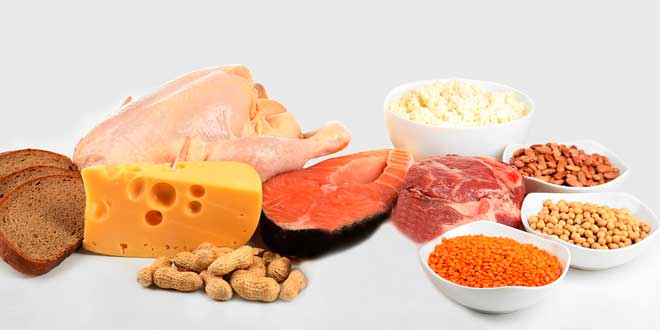 The benefits of the amino acid L-Leucine - HSN Blog