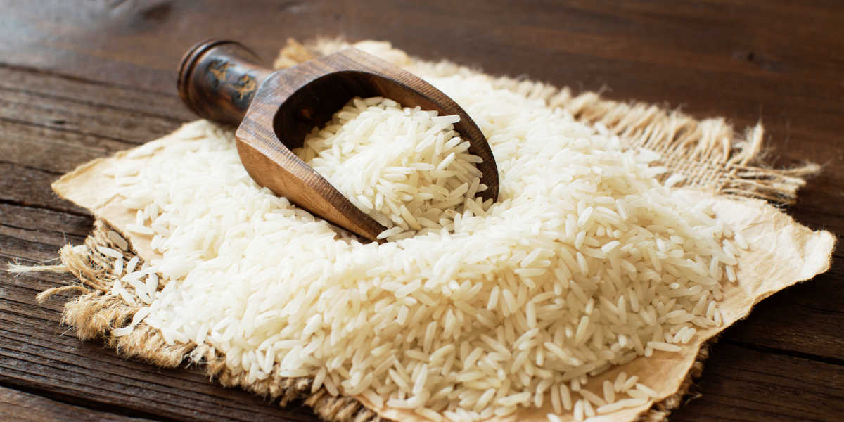 Can Rice Protein Help us Lose Weight?【2025