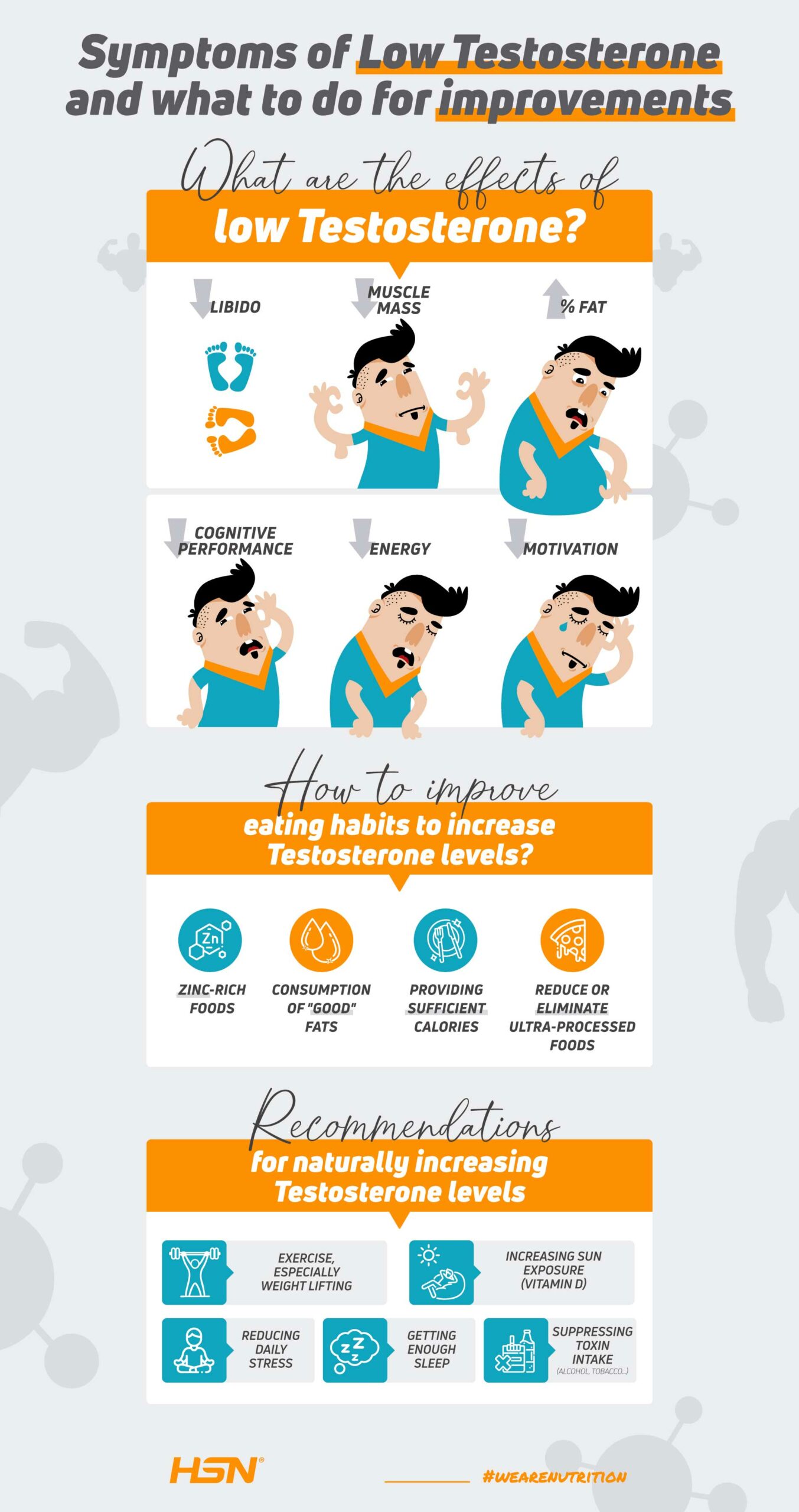 Testosterone and how to increase its levels - HSN Blog