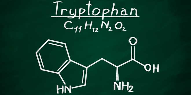 Tryptophan: Effects, Benefits, Supplements & Uses - HSN Blog