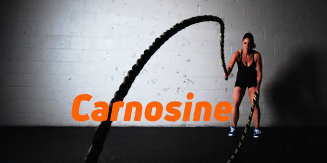 Carnosine - Effective Anti-aging cell agent - HSN Blog