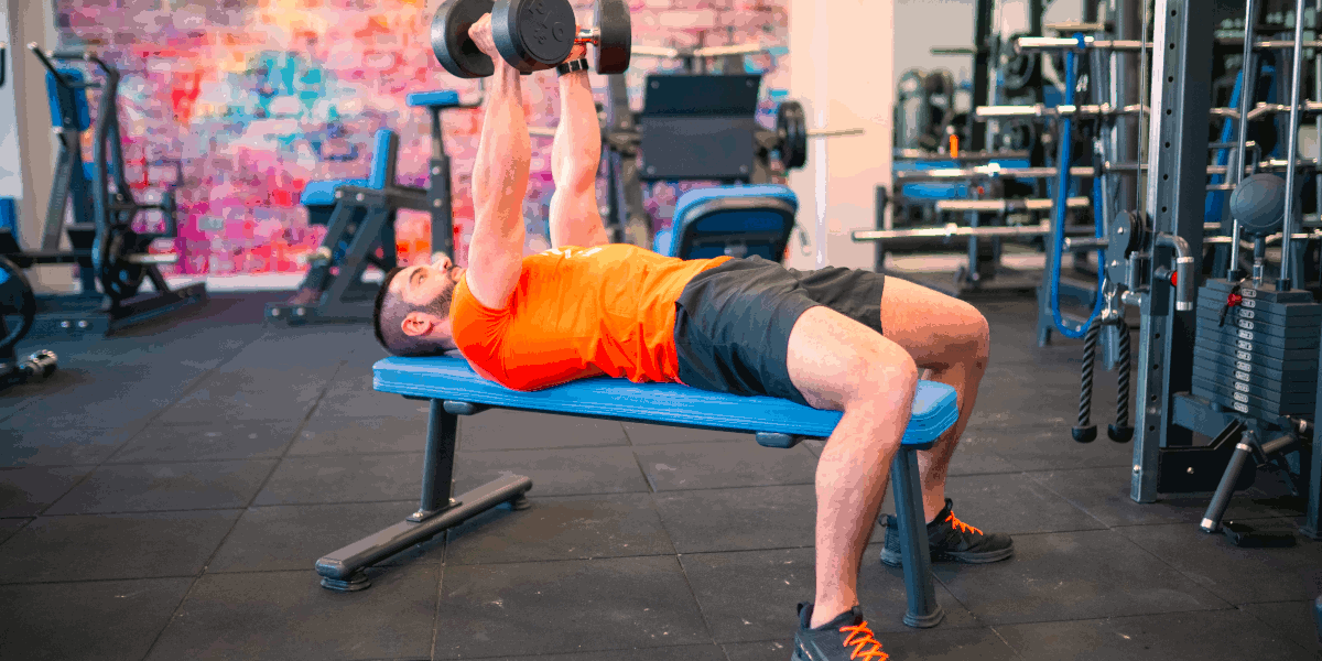 Home Workout with 2 dumbbells: first month (I) - HSN Blog