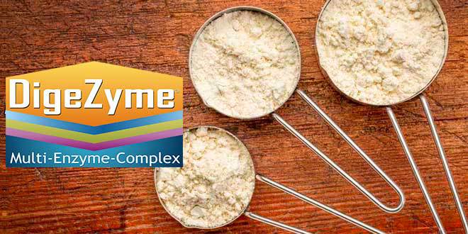 DigeZyme® Multi-Enzyme Complex - Reducing the Indigestion