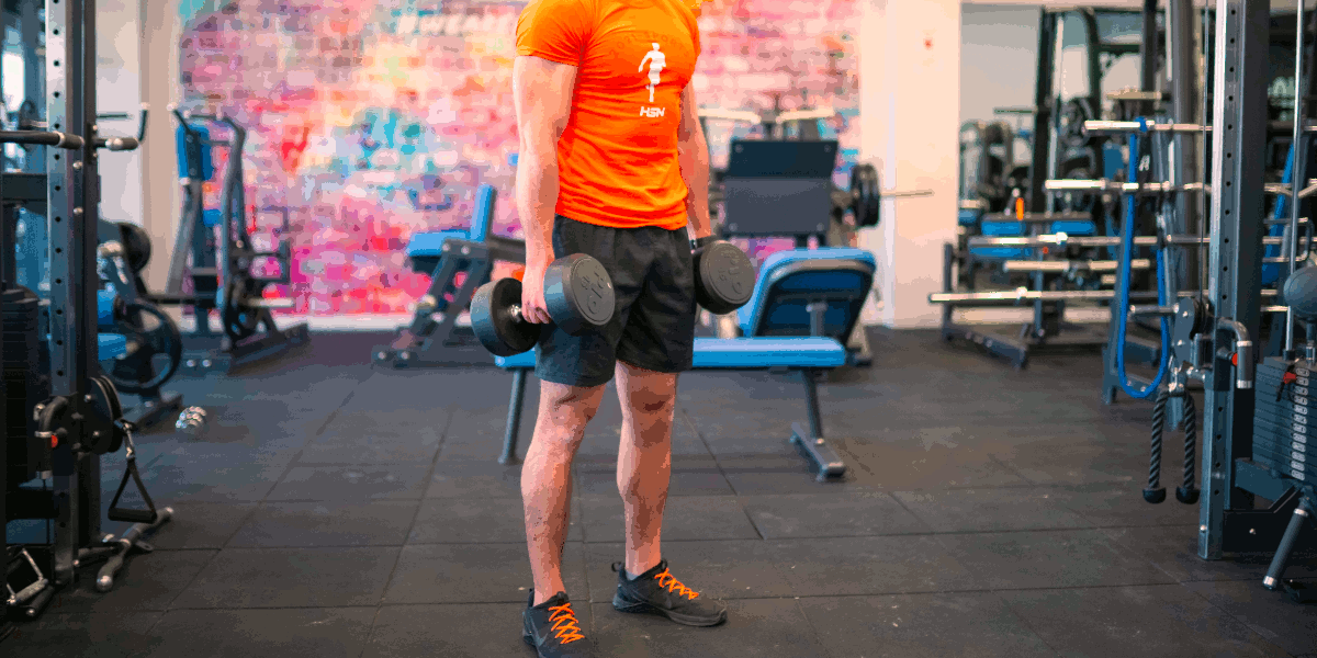 Home Workout with 2 dumbbells: first month (I) - HSN Blog