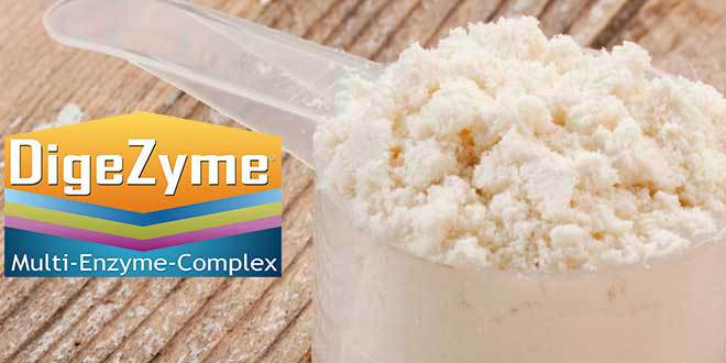 DigeZyme® Multi-Enzyme Complex - Reducing the Indigestion