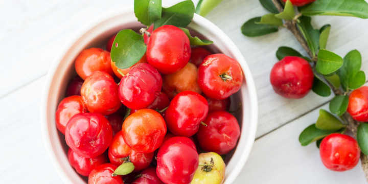 Acerola: Properties, Benefits, Uses... All you need to know!