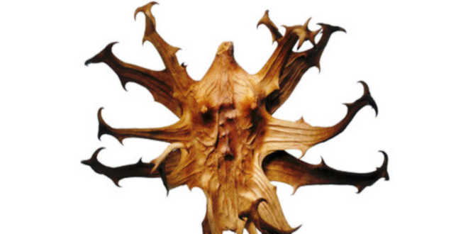 Devil's Claw - Properties and Benefits of Harpagophytum