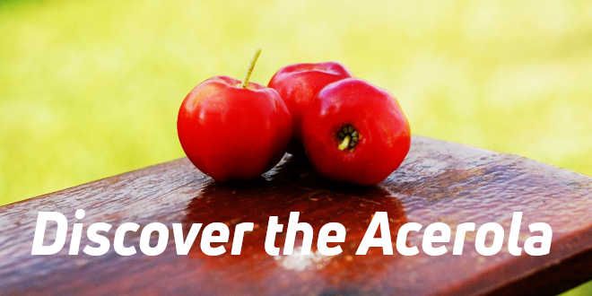 Acerola: Properties, Benefits, Uses... All you need to know!