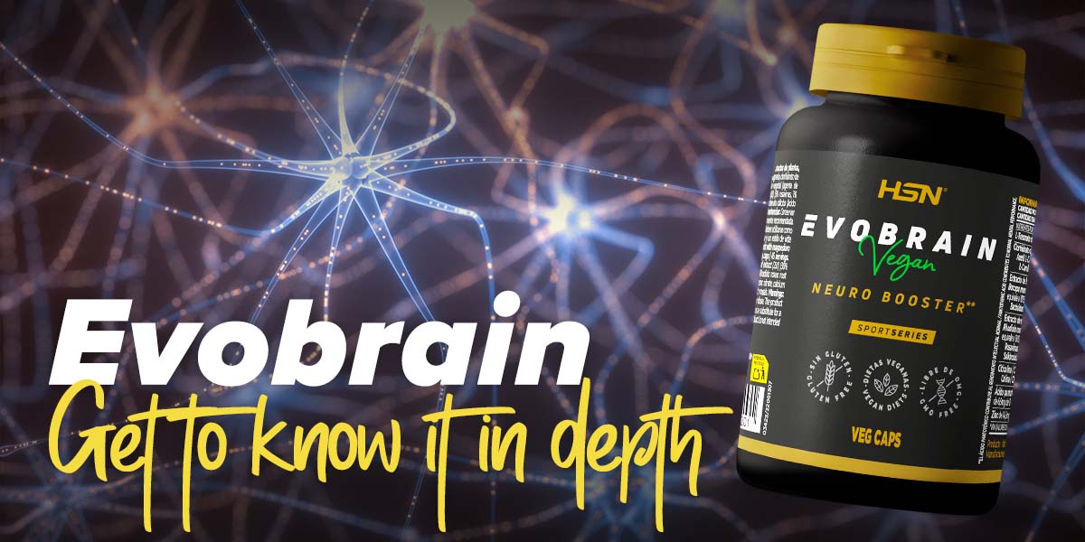 Evobrain: Nootropic for Studying, Memory, Mood
