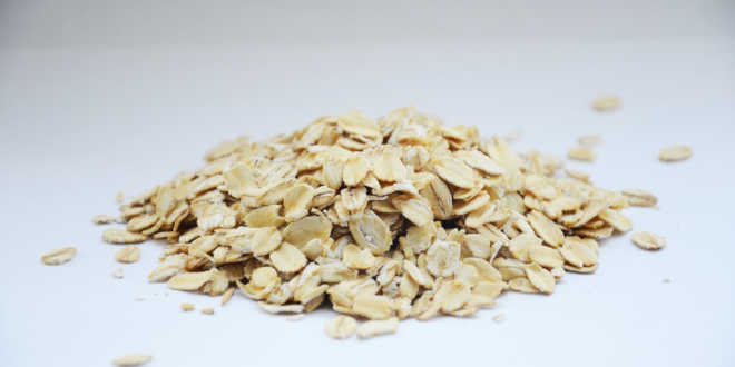 Oats, Learn about their Properties, Benefits and Types - HSN