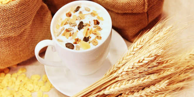 Oats, Learn about their Properties, Benefits and Types - HSN