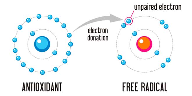 Antioxidants: What You Need to Know to Fight Free Radicals
