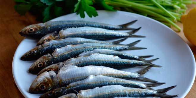 Foods Rich in Calcium - HSN Sport and Nutrition Blog